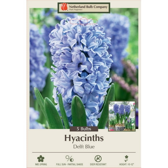 Hirt's Gardens - Walmart.com