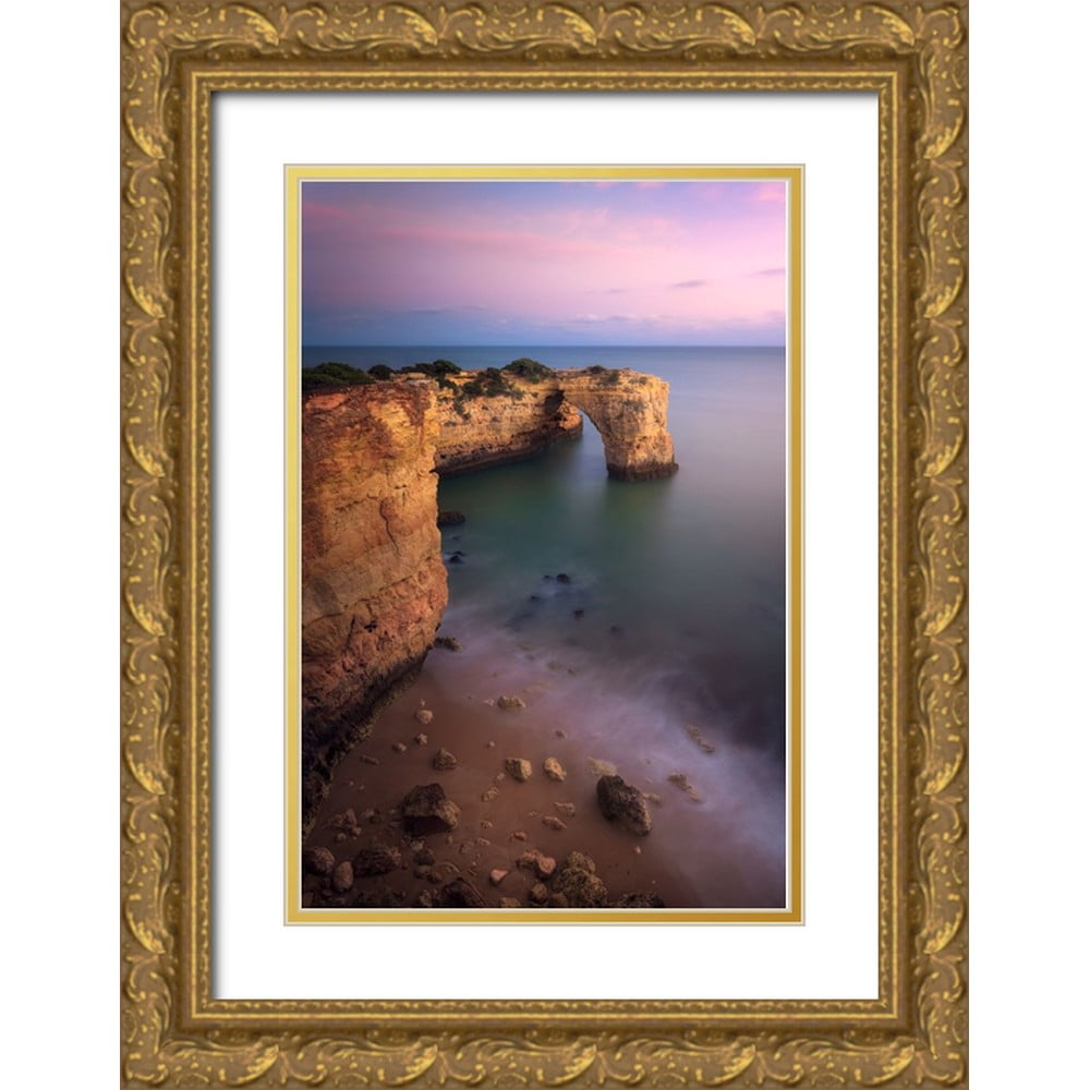 Delgado Alados, Sara 17x24 Gold Ornate Wood Framed with Double Matting ...