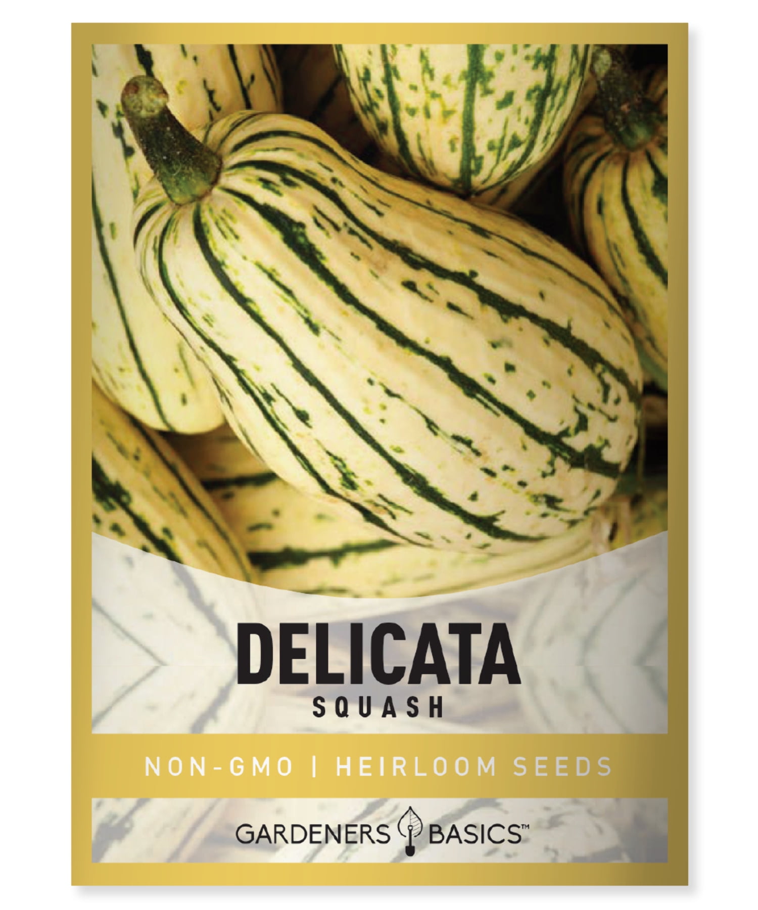 Gardeners Basics Delicata Squash Seeds, Heirloom, Open-Pollinated, 3g ...