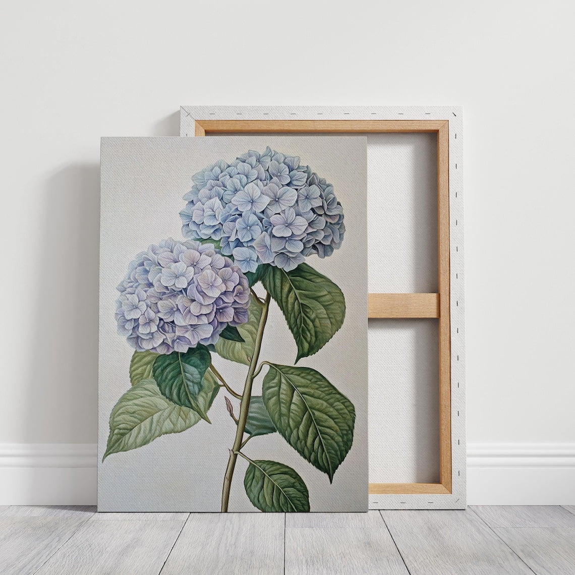 Delicate Blue Hydrangea Botanical Illustration With Lush Green Leaves ...