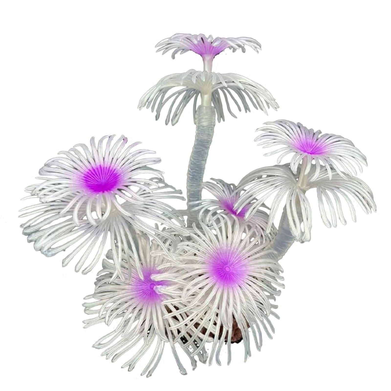 Delicate Mini Coral Terrarium Coral Clump Naural Appearance Aquarium ...