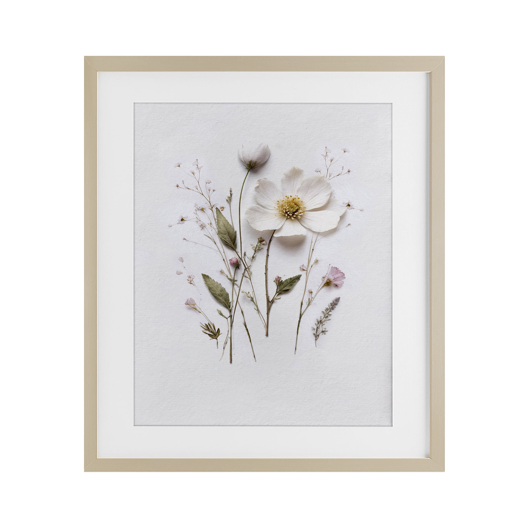 Delicate Pressed Flower Sprigs Birch Framed Print Under Glass, design ...