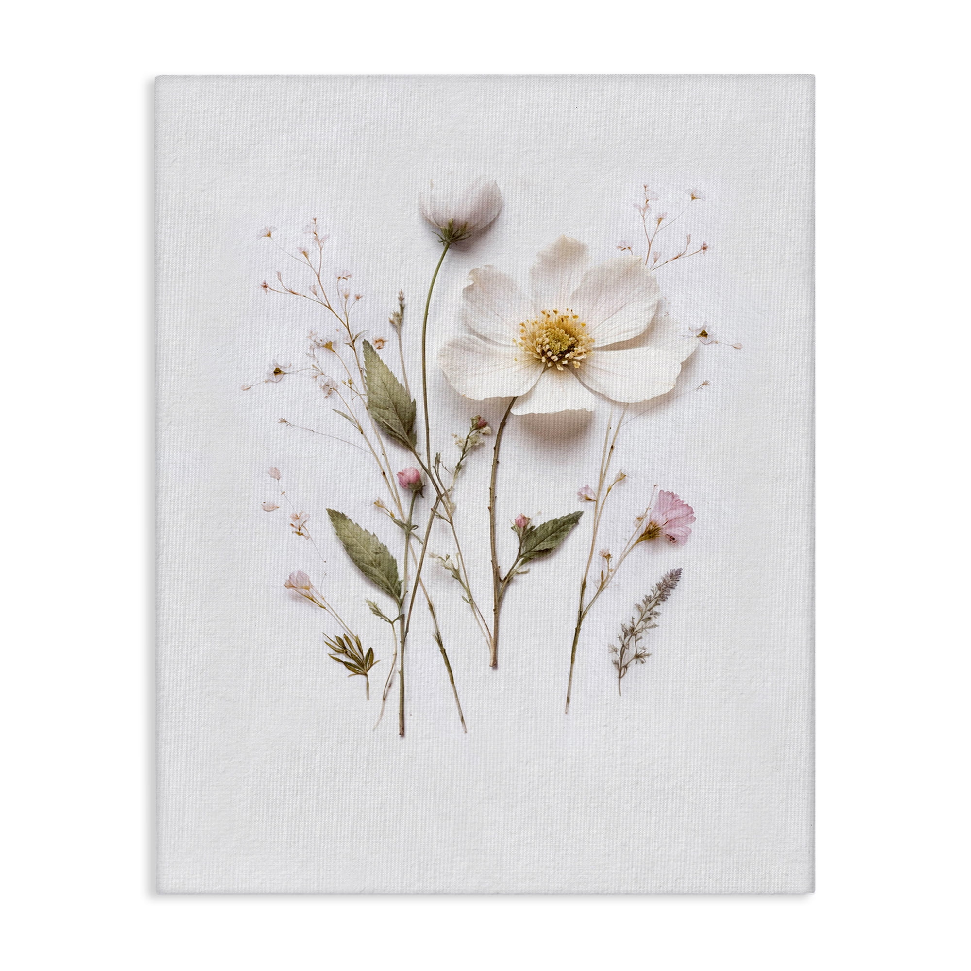 Delicate Pressed Flower Sprigs Canvas Wall Art, design by Lettered and ...