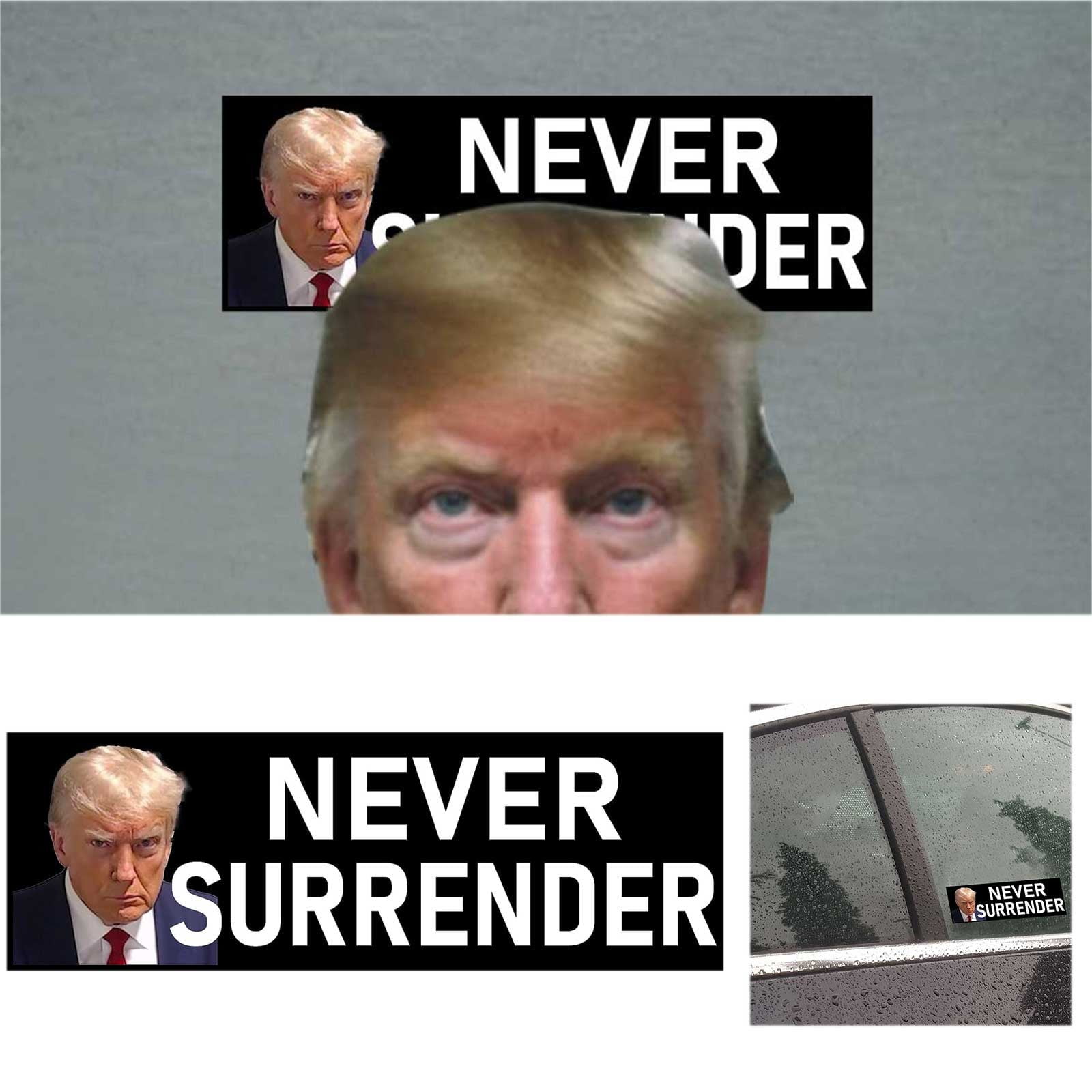 Delicate Stickers Bumper Stickers Mug Shot Never Surrender Bumper ...