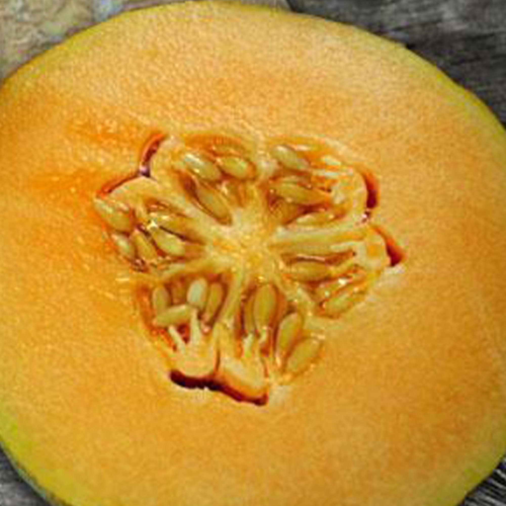Delicious 51 Melon Seeds - 1 g ~35 Seeds - Heirloom, Open Pollinated ...