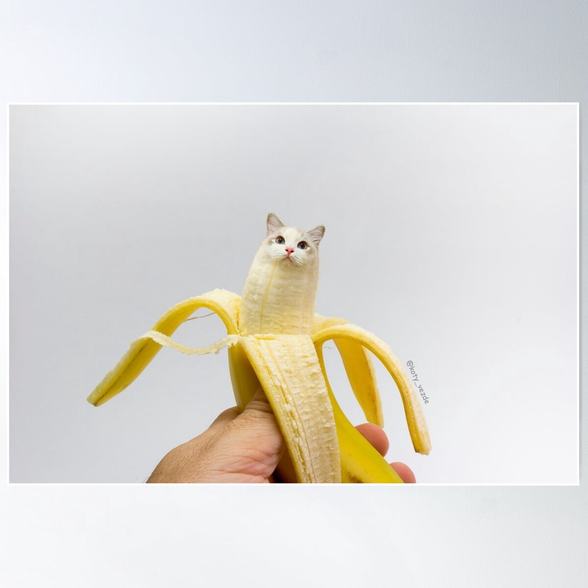 Delicious And Cute: Banana Cat Poster Wall Art, Modern Wall Decor For ...