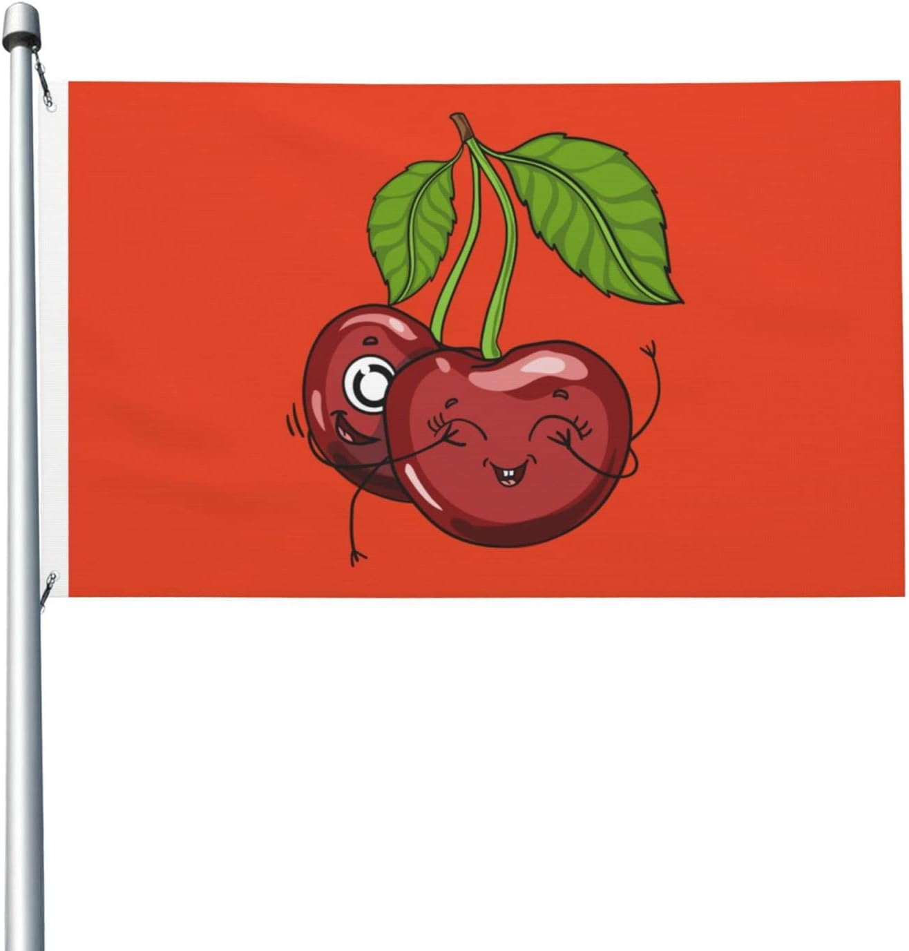 Delicious Cherry Fruit Flag 3x5 Ft Double-Sided Durable Outdoor ...
