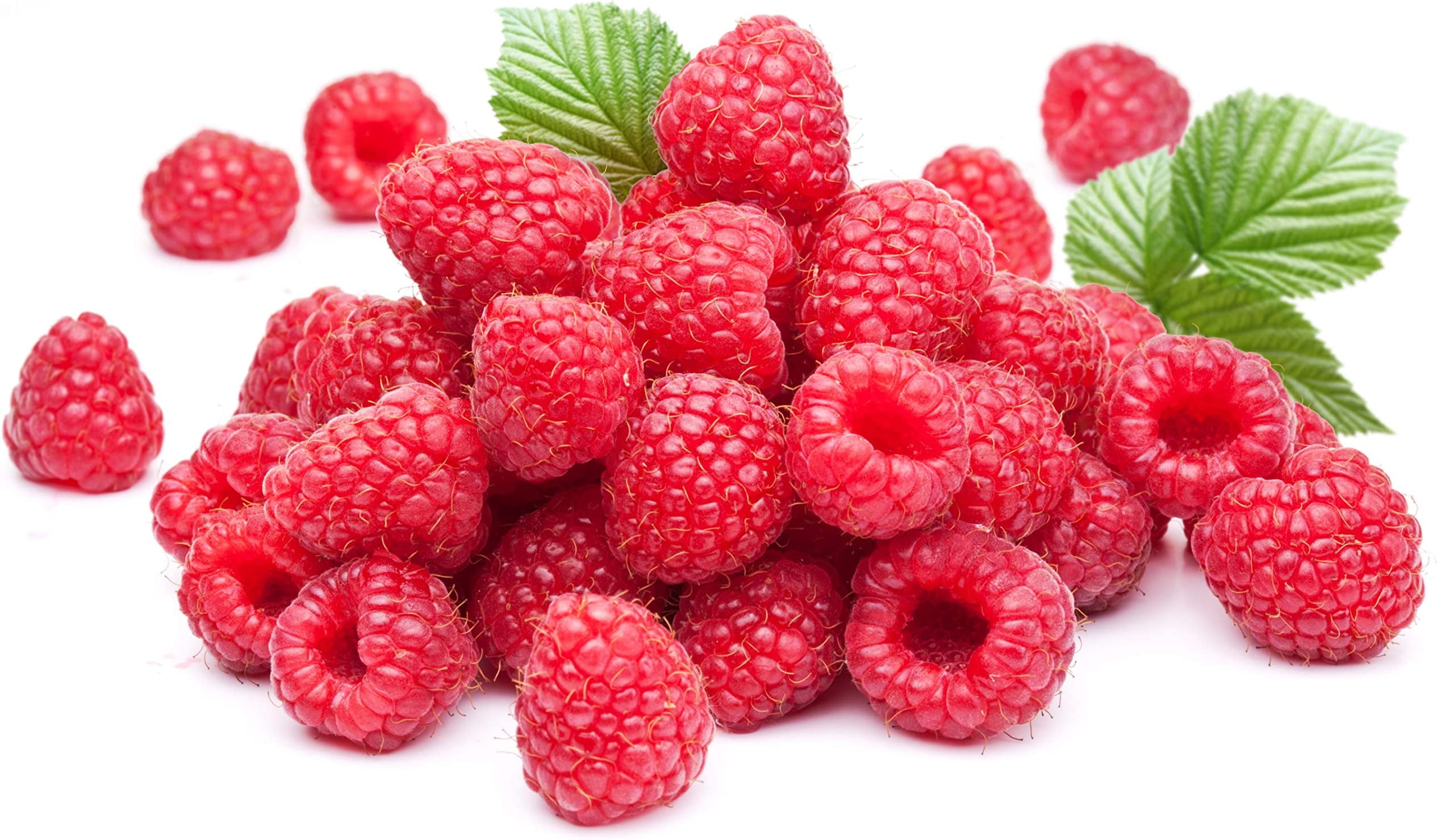 Delicious Red Raspberry Seeds - 200 Seeds - Made in USA, Ships from ...