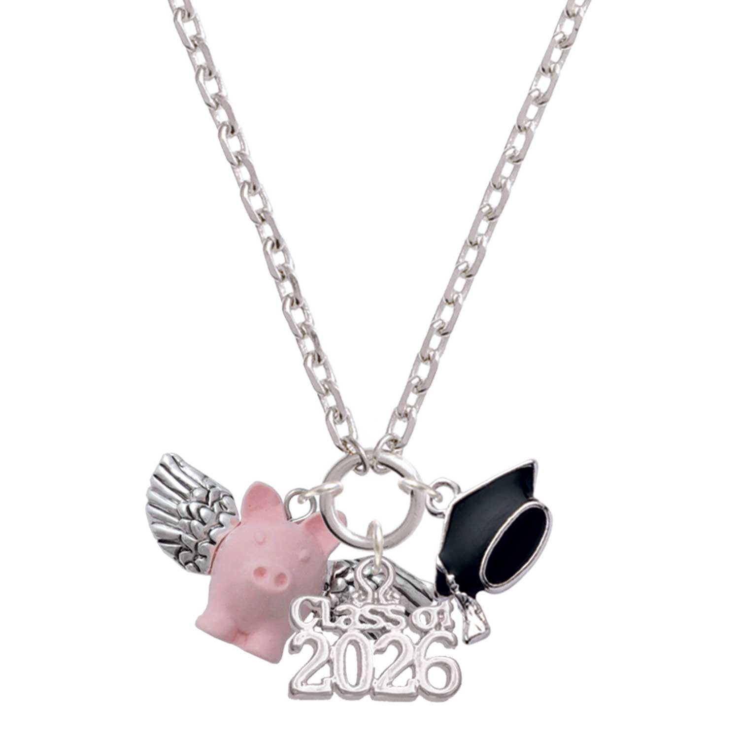 Delight Jewelry Pink Flying Pig with Wings - Silvertone Class of 2026 ...