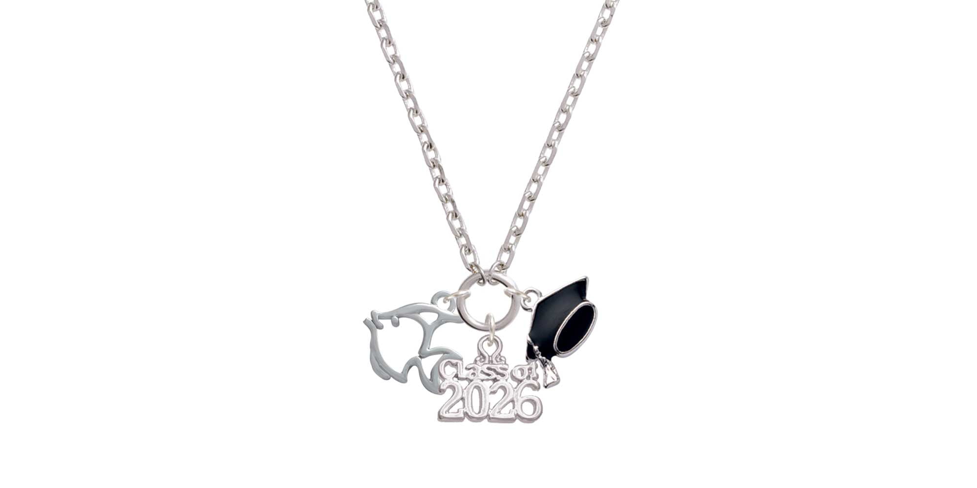 Delight Jewelry Silver-tone 2-D Open Angel Fish - Class of 2026 ...