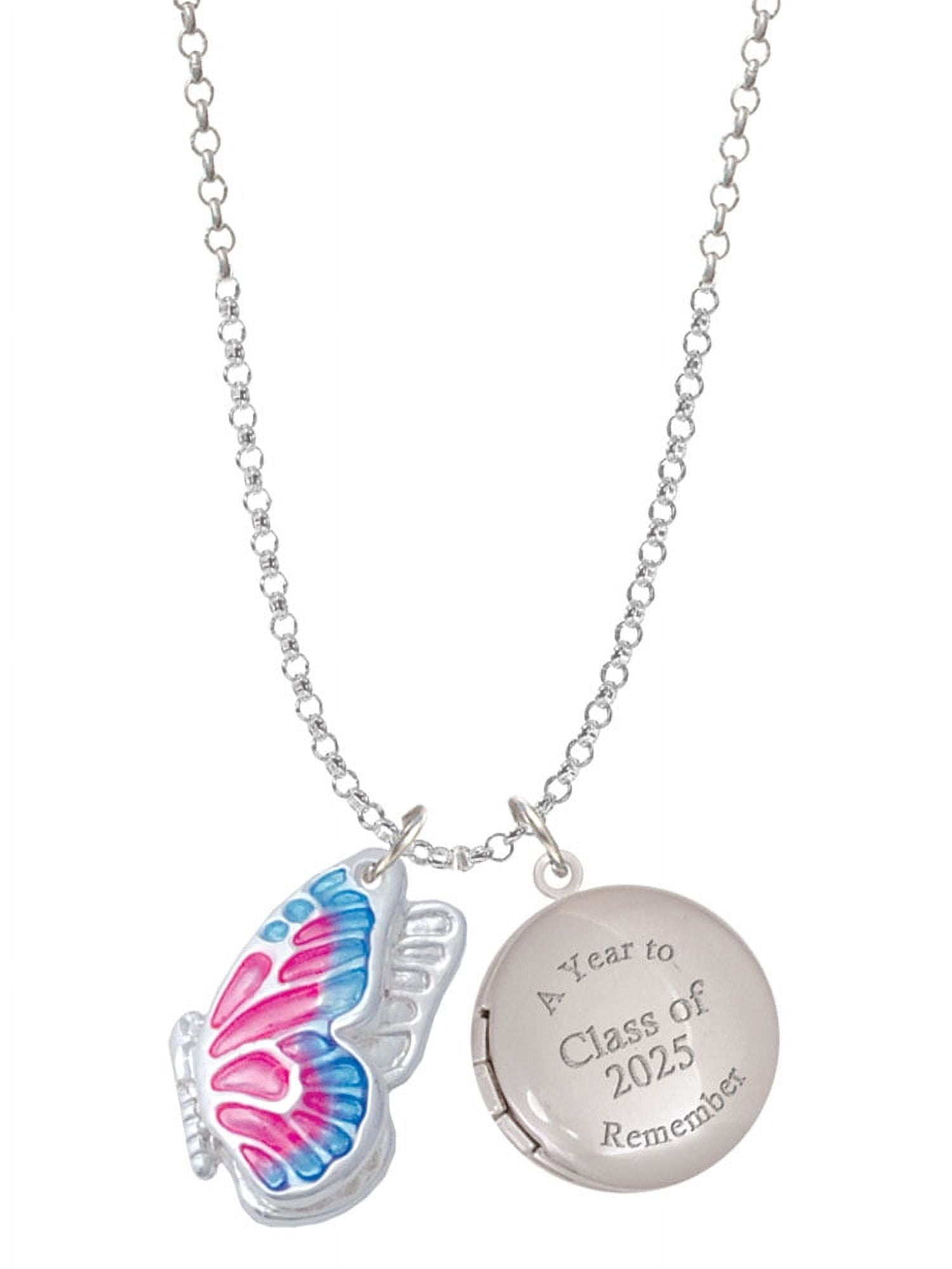 Delight Jewelry Silver-tone Large Translucent Hot Pink & Blue Flying ...