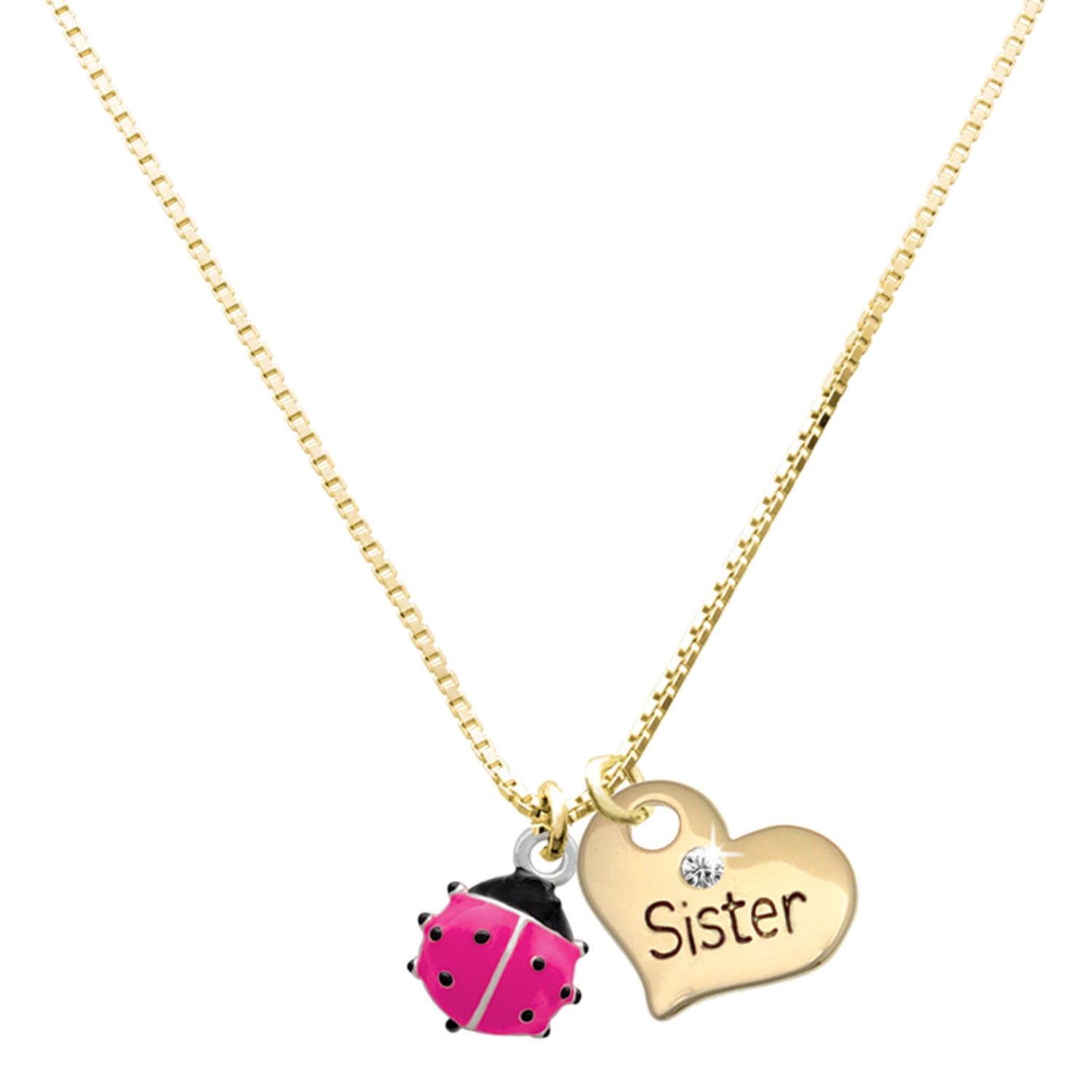 Delight Jewelry Silver-tone Mini Hot Pink Ladybug - Large Goldtone ...