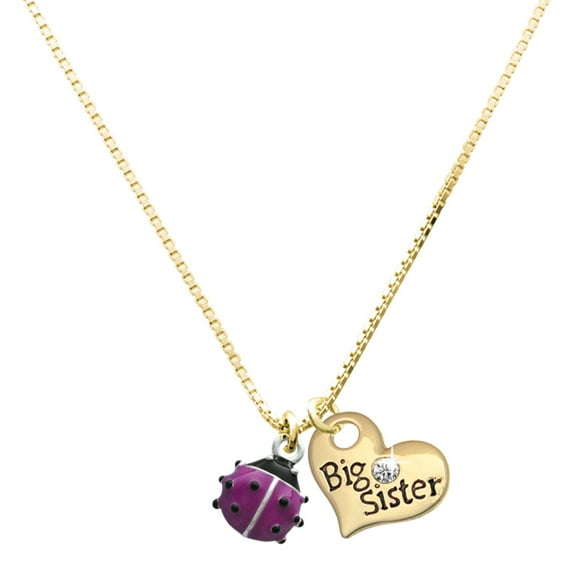 Delight Jewelry Silver-tone Mini Hot Purple Ladybug - Large Goldtone ...
