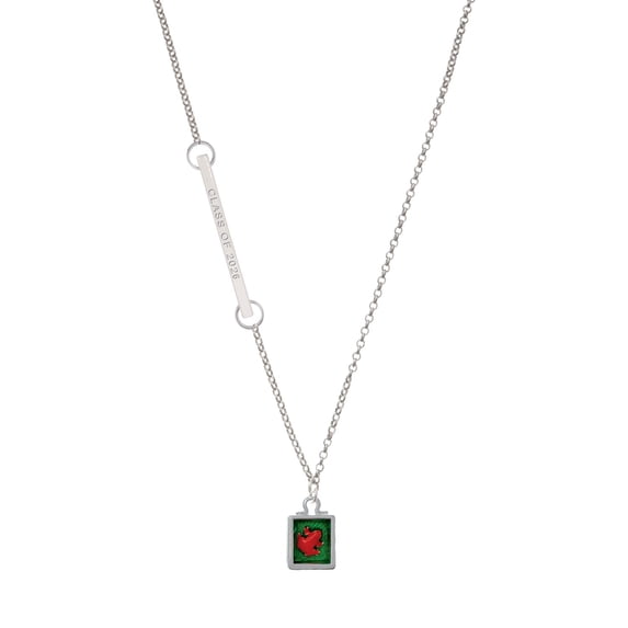 Delight Jewelry Silver-tone Red Tree Frog in Shadow Box - Silvertone ...