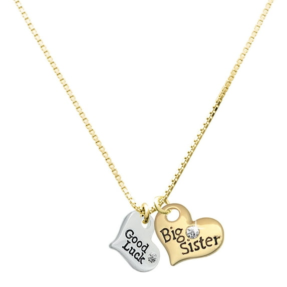 Delight Jewelry Silver-tone Small Good Luck Heart - Large Goldtone Big ...