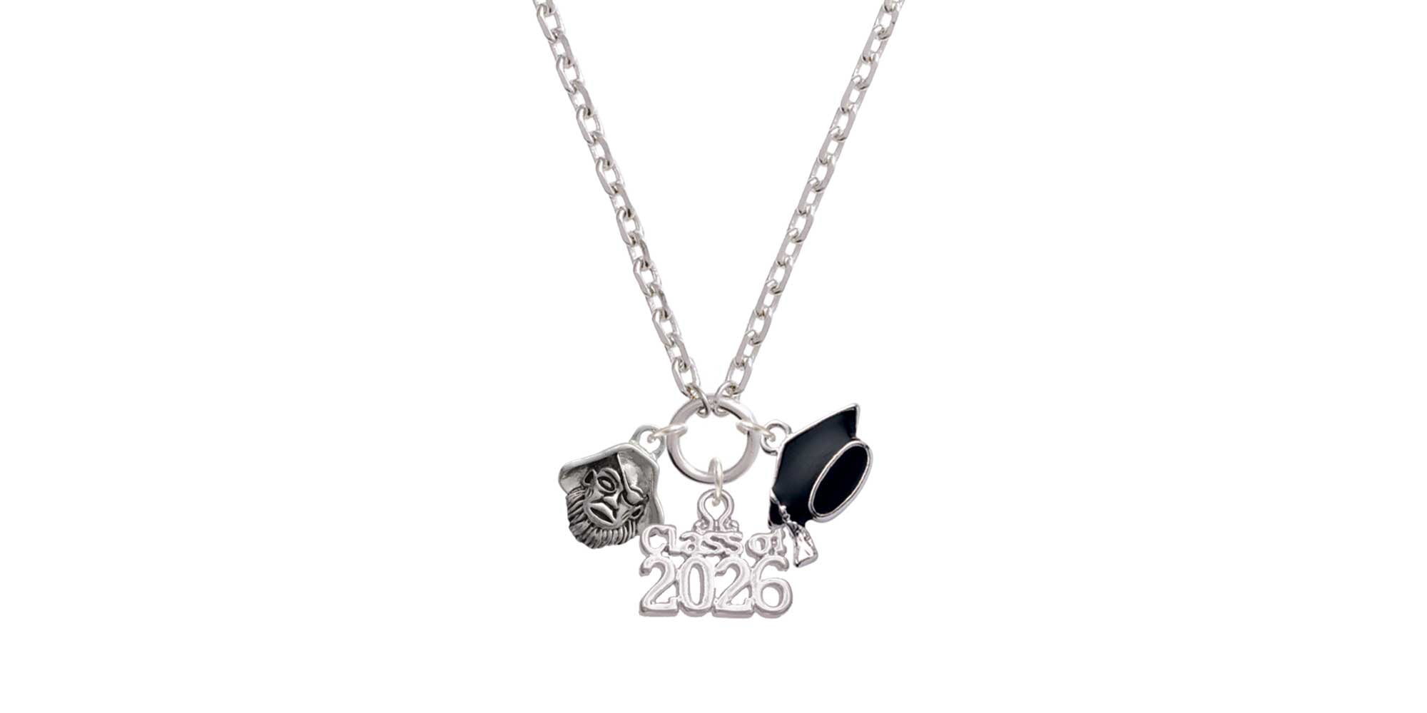 Delight Jewelry Silver-tone Small Pirate - Mascot - Class of 2026 ...