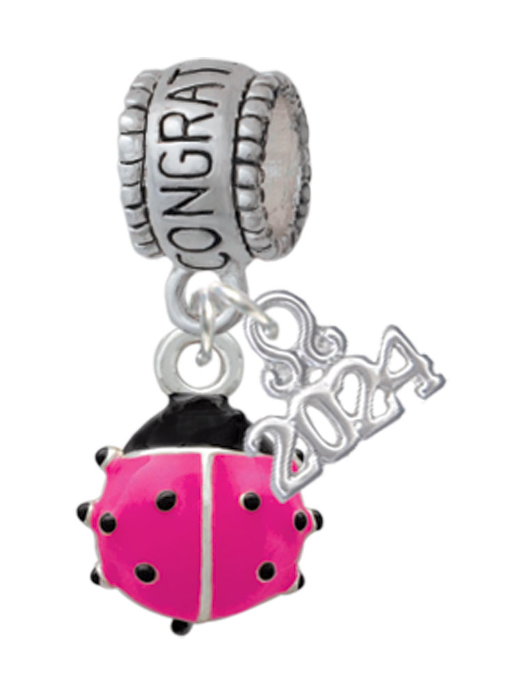 Delight Jewelry Silvertone Mini Hot Pink Ladybug Congratulations Charm ...