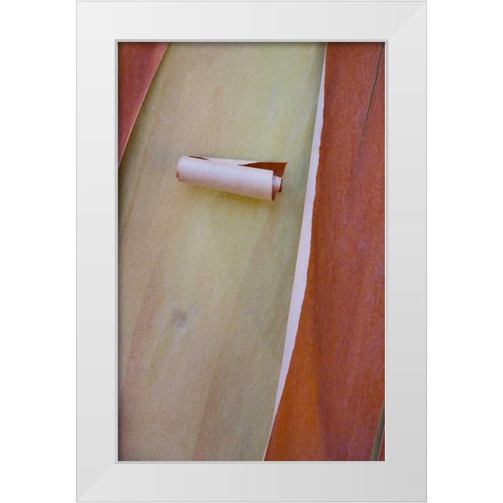 Delisle, Gilles 10x14 White Modern Wood Framed Museum Art Print Titled ...