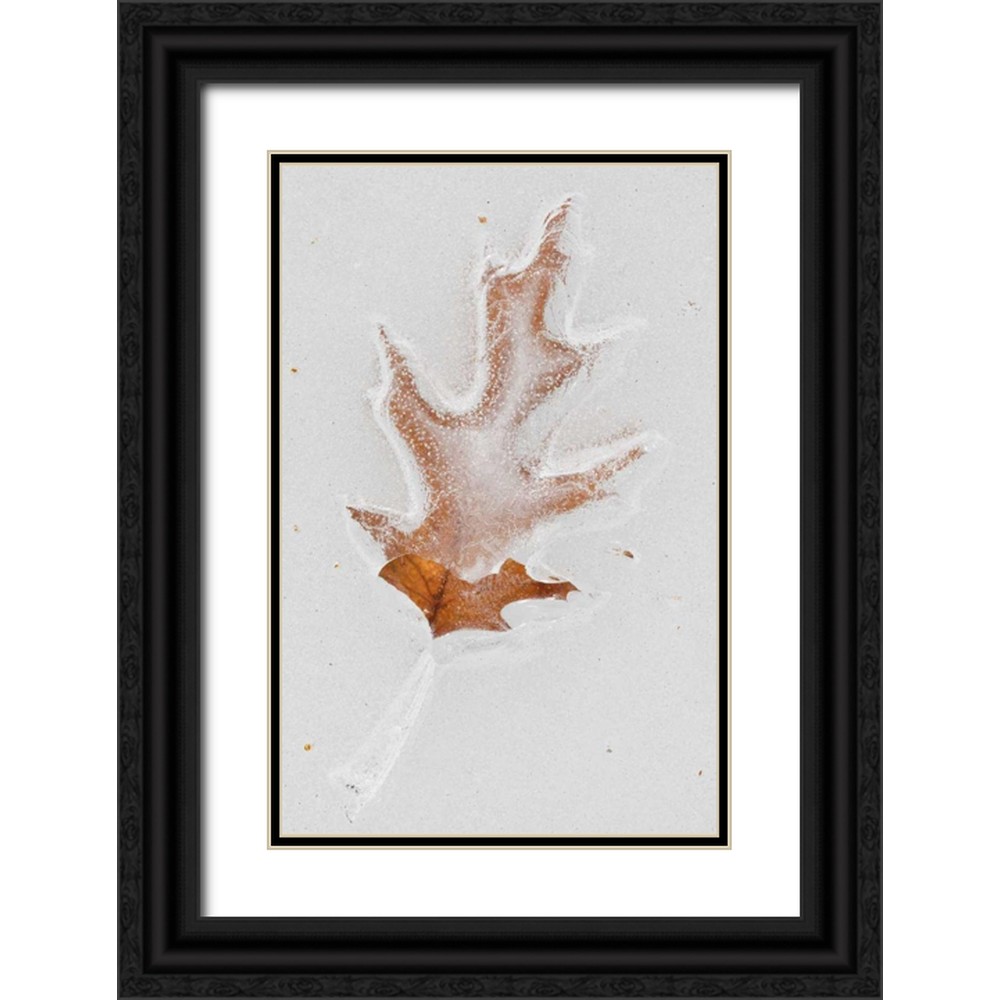 Delisle, Gilles 11x14 Black Ornate Wood Framed with Double Matting ...