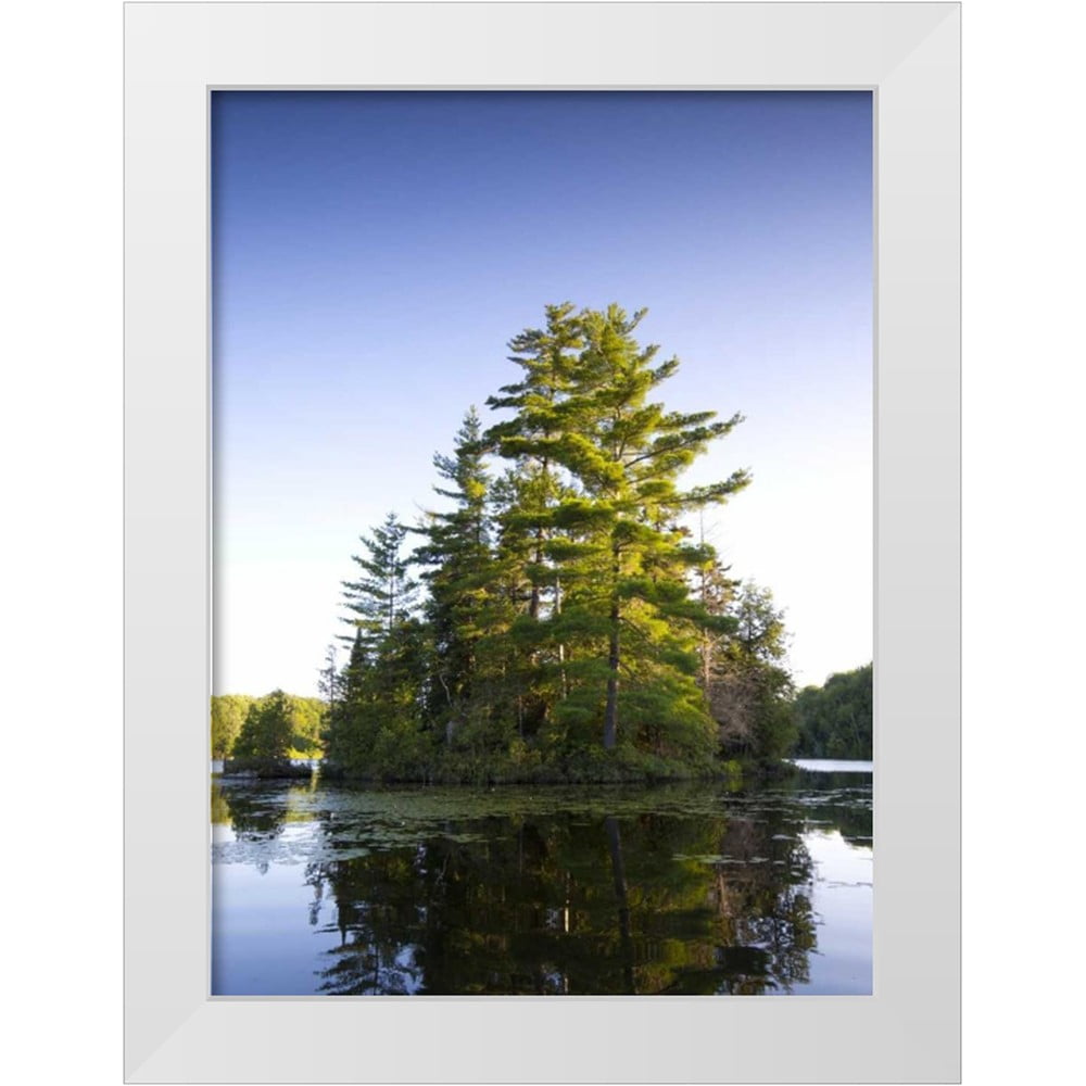 Delisle, Gilles 11x14 White Modern Wood Framed Museum Art Print Titled ...