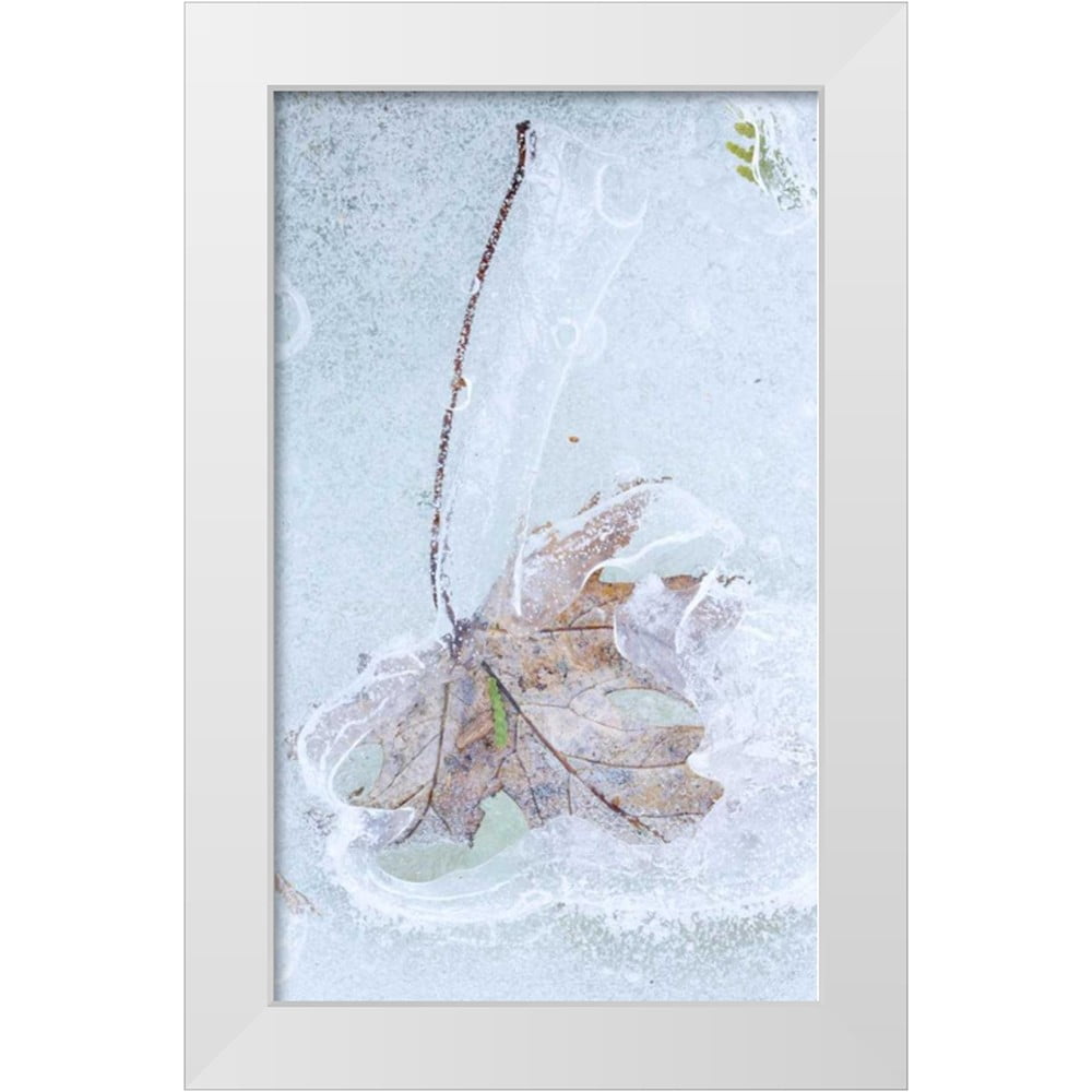 Delisle, Gilles 12x18 White Modern Wood Framed Museum Art Print Titled ...
