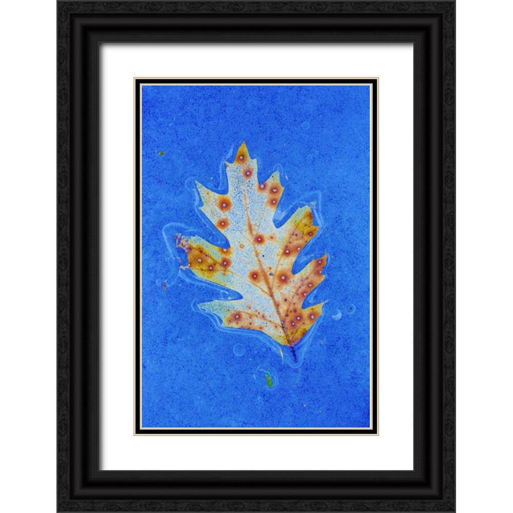 Delisle, Gilles 13x18 Black Ornate Wood Framed with Double Matting ...