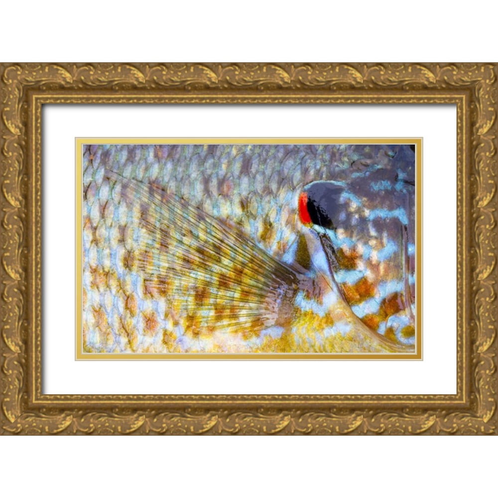 Delisle, Gilles 14x10 Gold Ornate Wood Framed with Double Matting ...