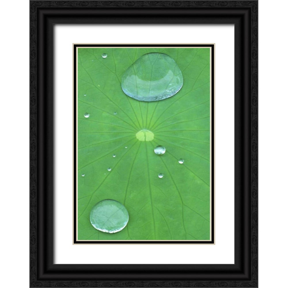 Delisle, Gilles 14x18 Black Ornate Wood Framed with Double Matting ...