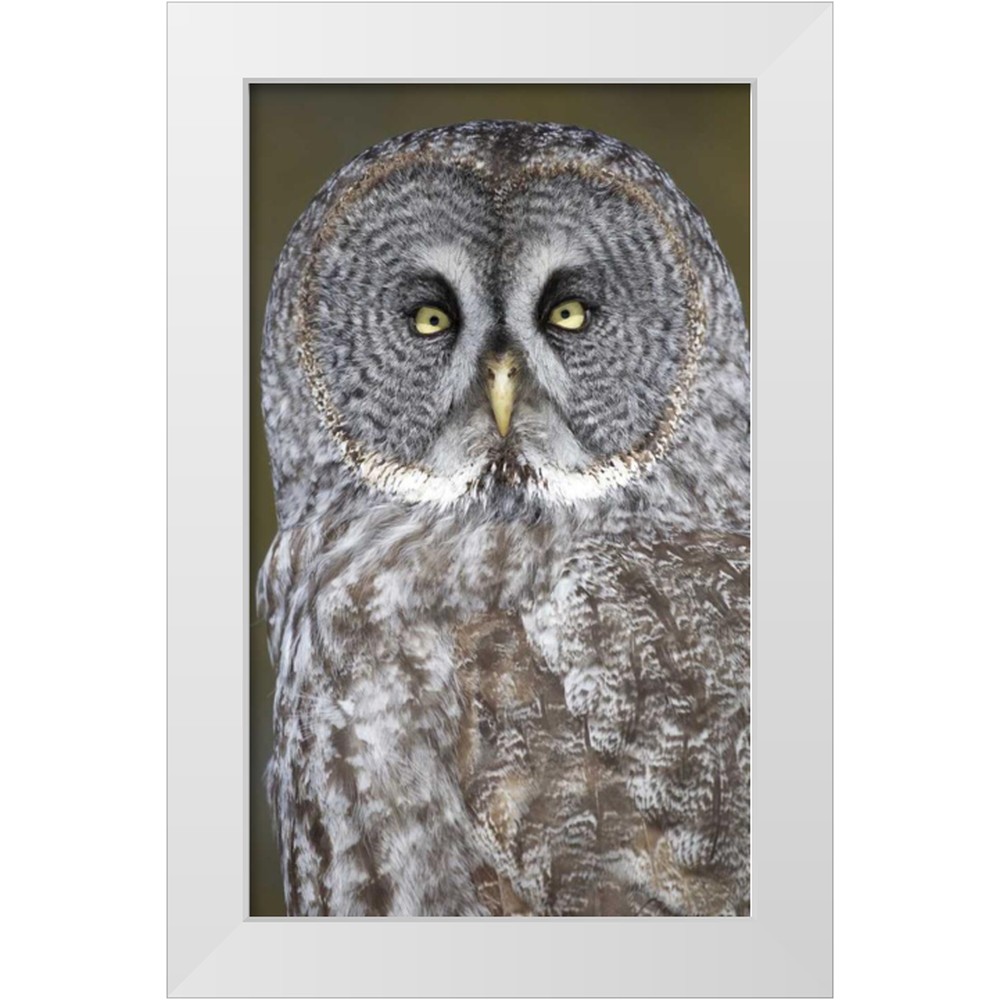 Delisle, Gilles 16x24 White Modern Wood Framed Museum Art Print Titled ...