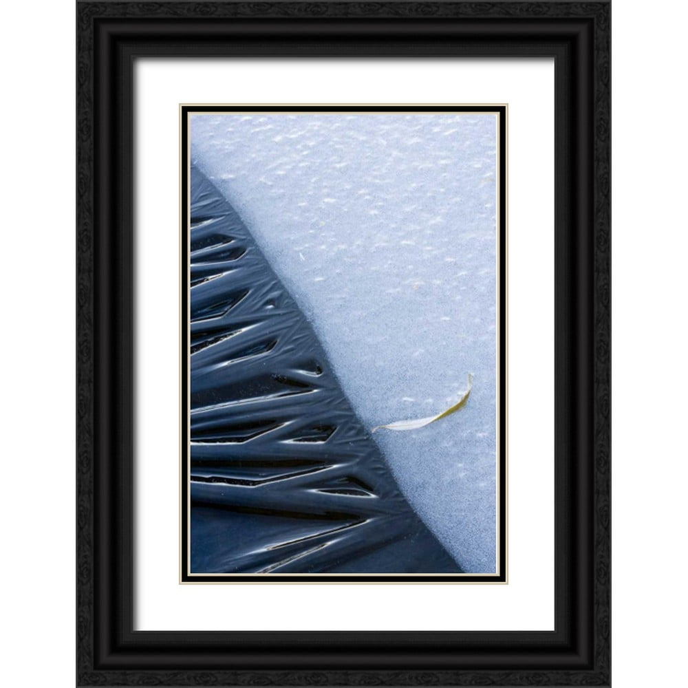 Delisle, Gilles 17x24 Black Ornate Wood Framed with Double Matting ...
