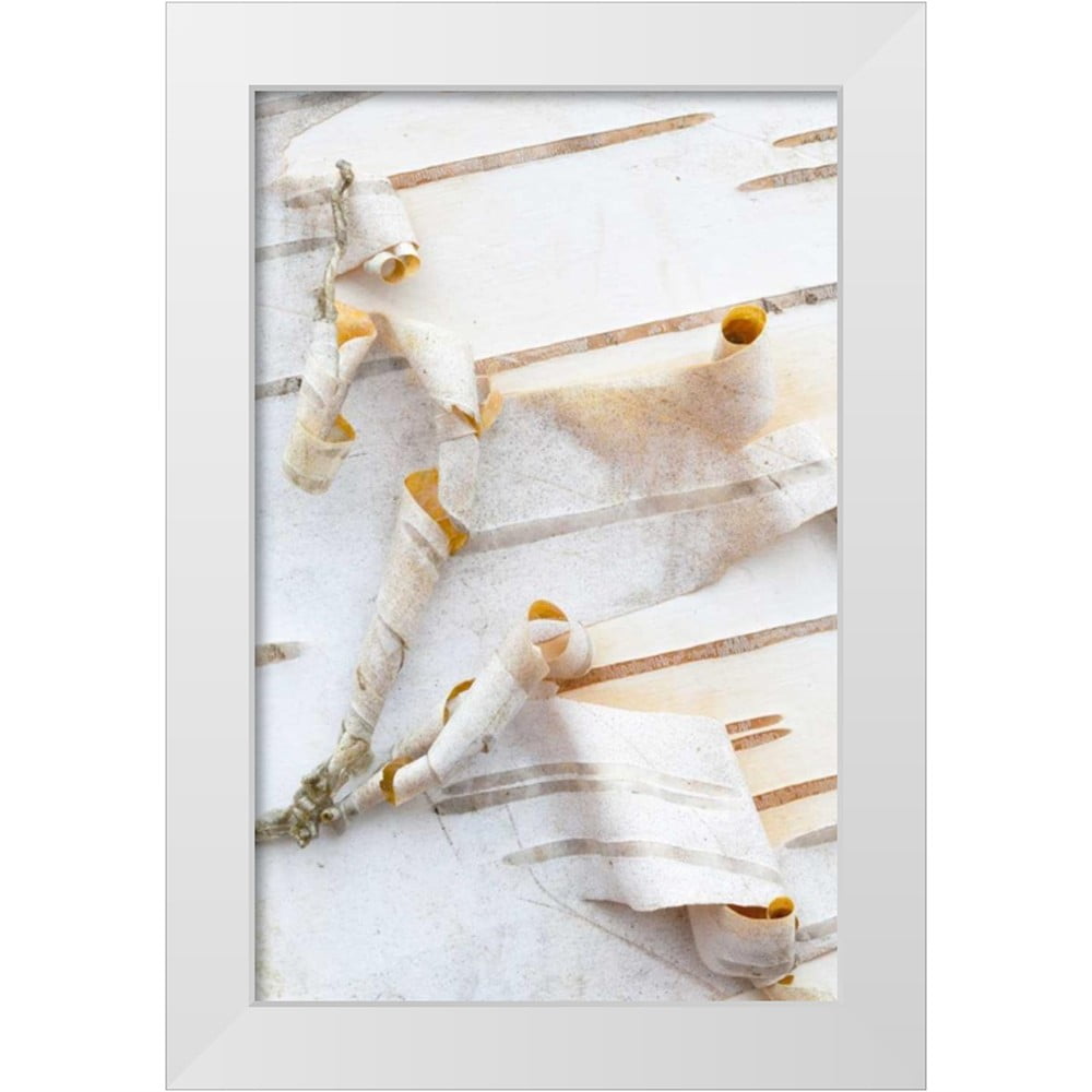 Delisle, Gilles 17x24 White Modern Wood Framed Museum Art Print Titled ...