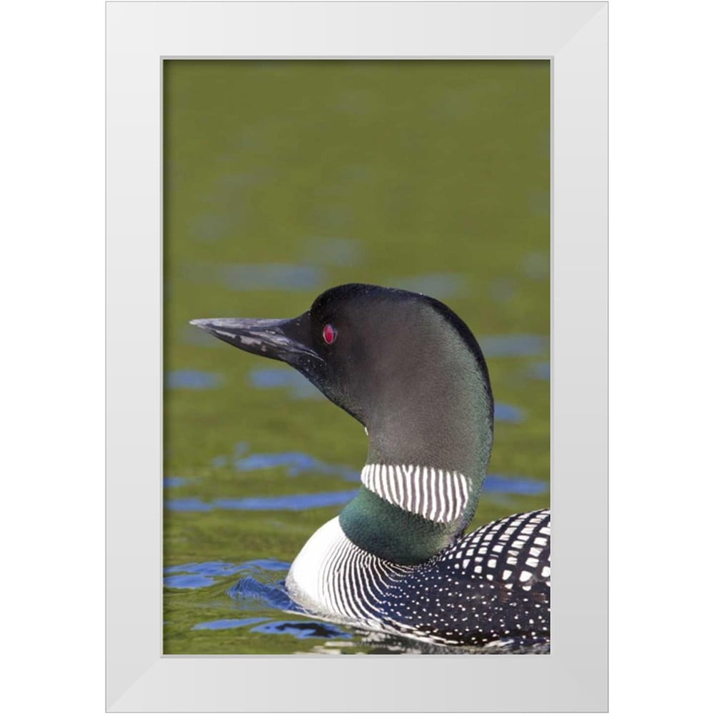Delisle, Gilles 17x24 White Modern Wood Framed Museum Art Print Titled ...