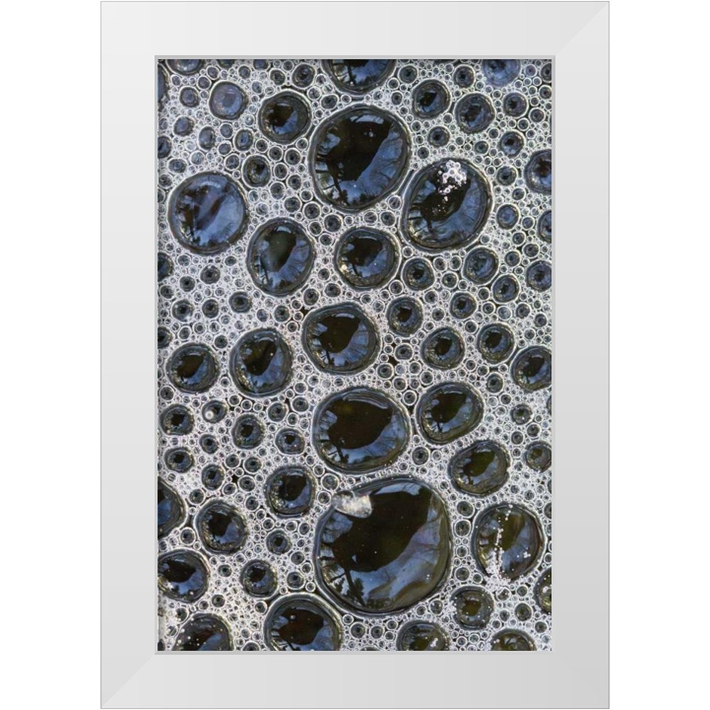 Delisle, Gilles 17x24 White Modern Wood Framed Museum Art Print Titled ...