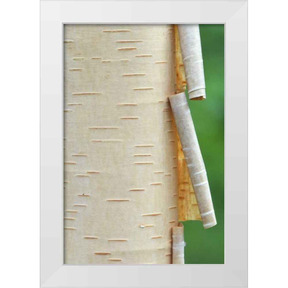 Delisle, Gilles 17x24 White Modern Wood Framed Museum Art Print Titled ...
