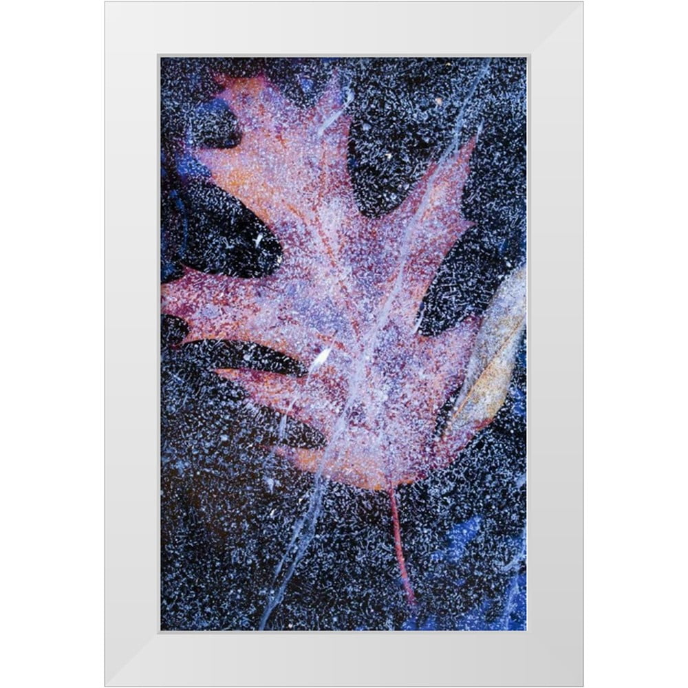 Delisle, Gilles 17x24 White Modern Wood Framed Museum Art Print Titled ...
