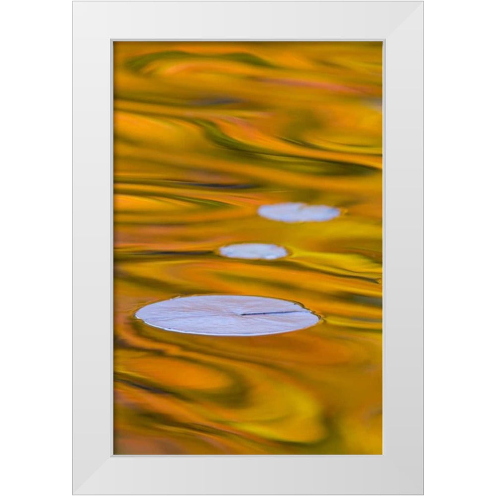 Delisle, Gilles 17x24 White Modern Wood Framed Museum Art Print Titled ...