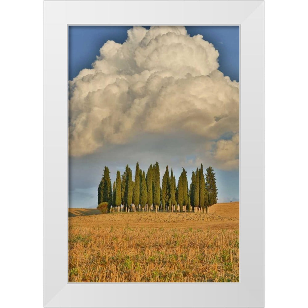 Delisle, Gilles 17x24 White Modern Wood Framed Museum Art Print Titled ...