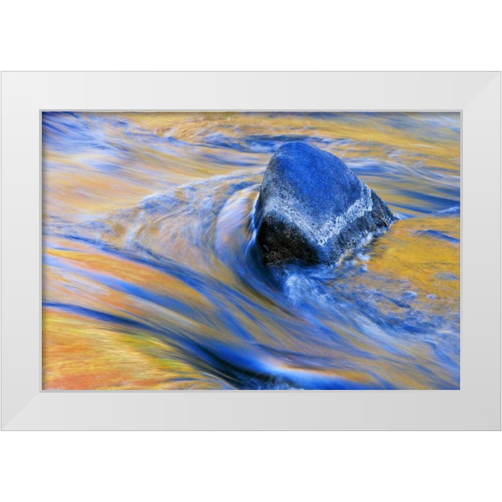 Delisle, Gilles 18x13 White Modern Wood Framed Museum Art Print Titled ...