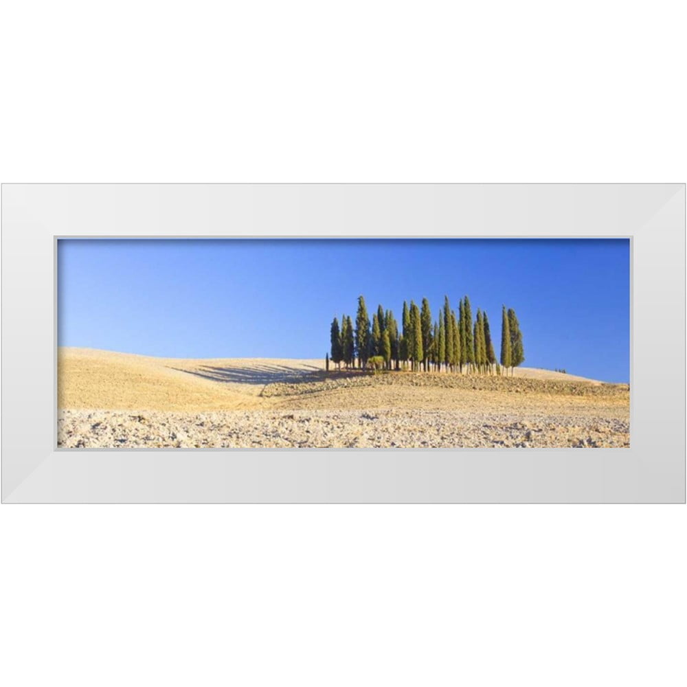 Delisle, Gilles 18x9 White Modern Wood Framed Museum Art Print Titled ...