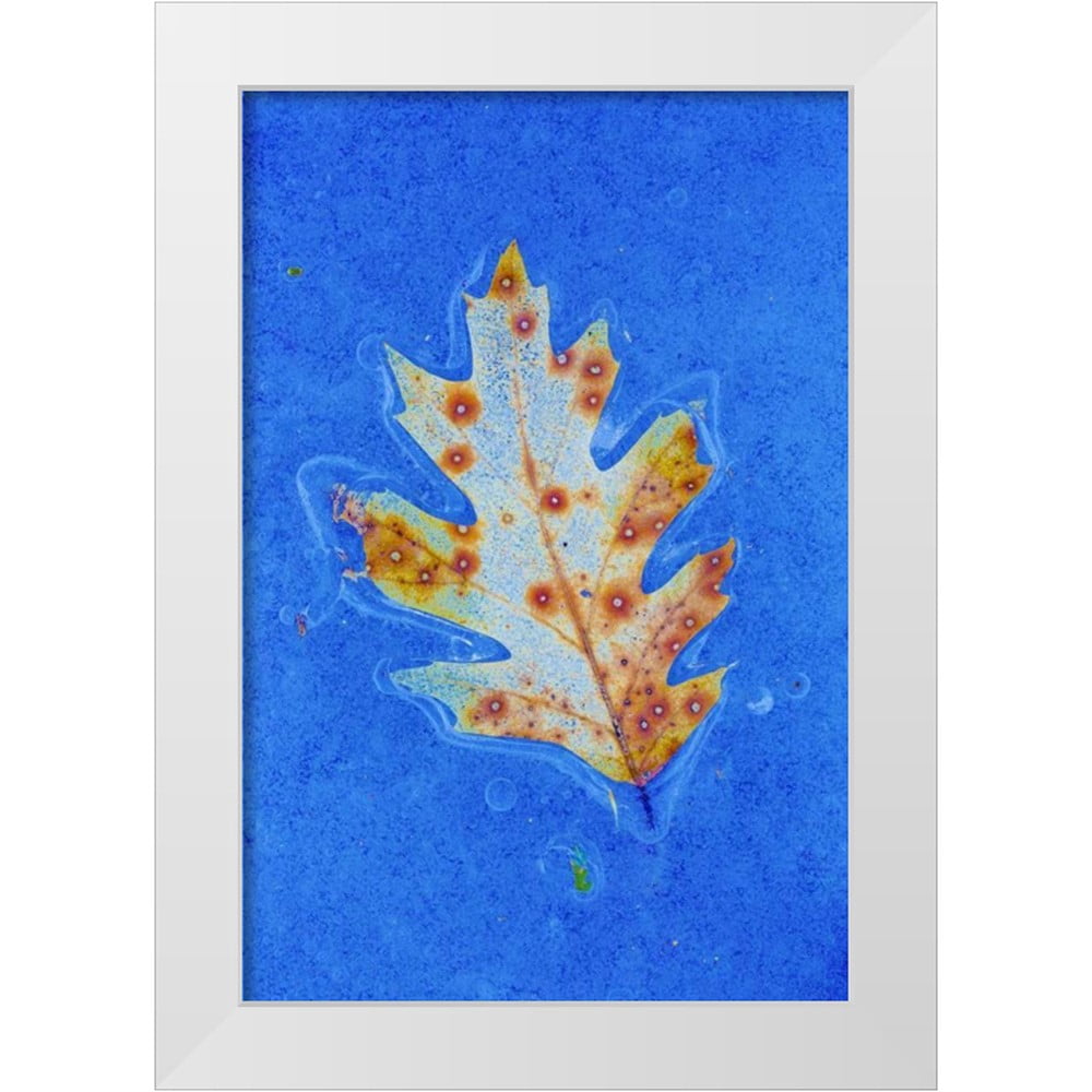 Delisle, Gilles 23x32 White Modern Wood Framed Museum Art Print Titled ...