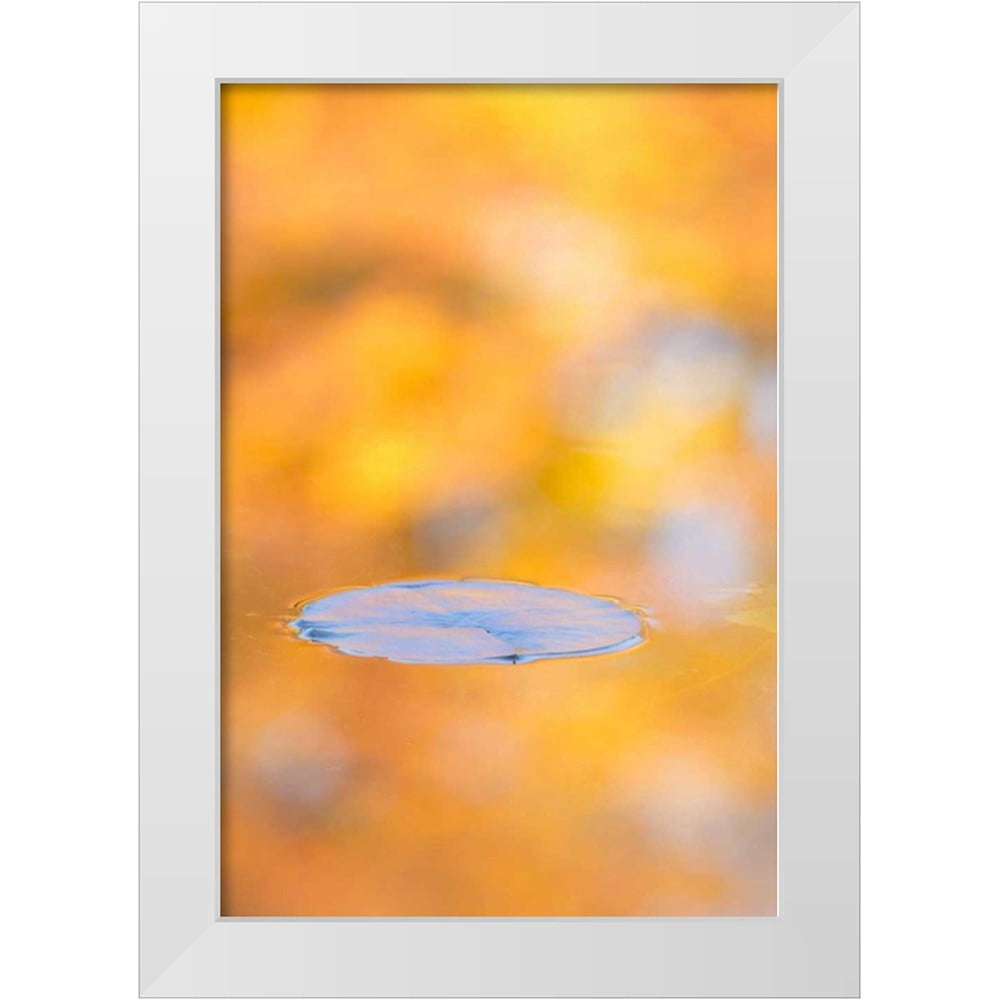 Delisle, Gilles 23x32 White Modern Wood Framed Museum Art Print Titled ...
