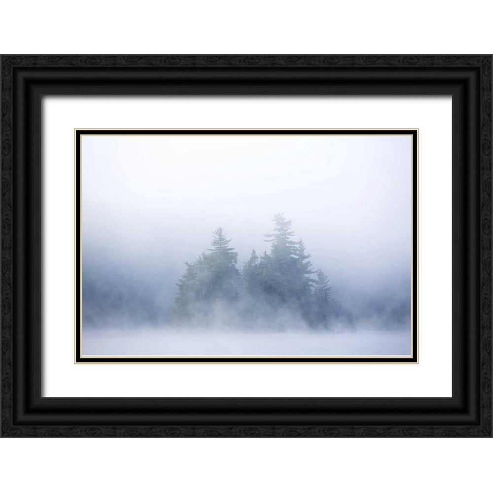 Delisle, Gilles 24x17 Black Ornate Wood Framed with Double Matting ...
