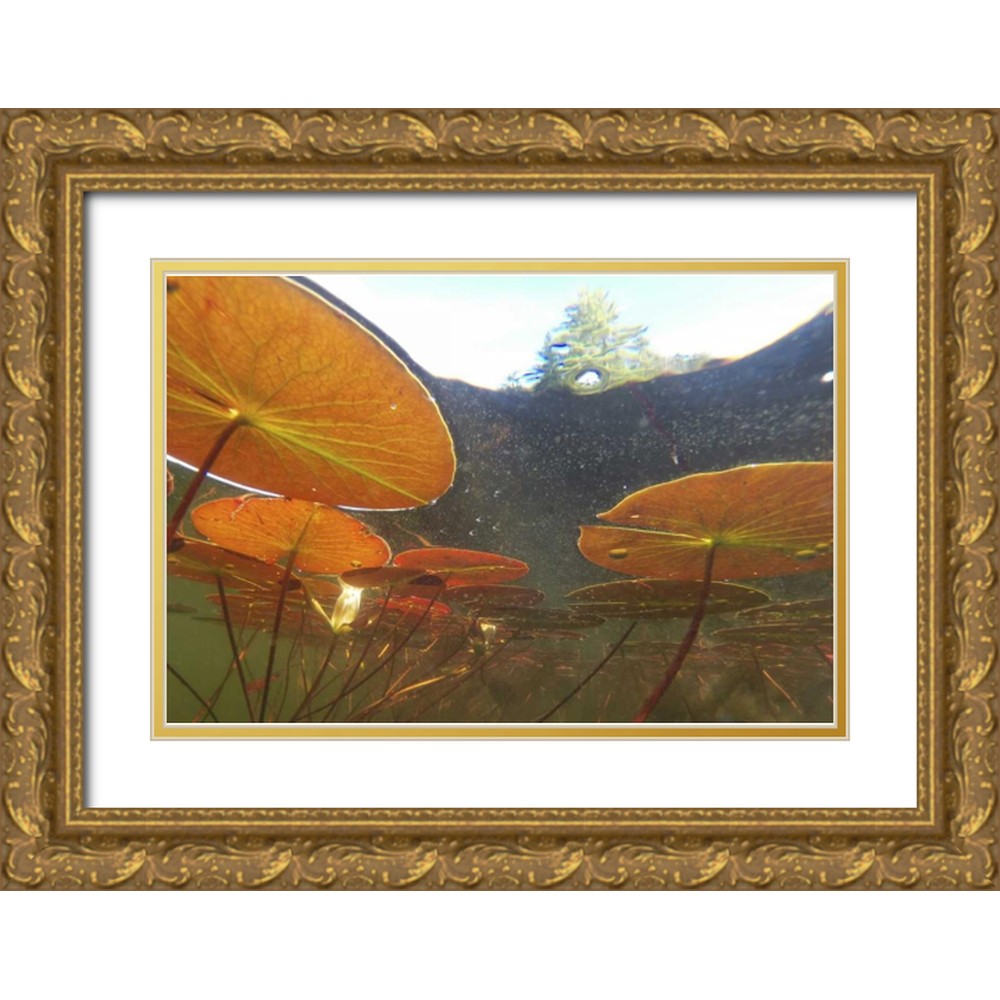 Delisle, Gilles 24x17 Gold Ornate Wood Framed with Double Matting ...