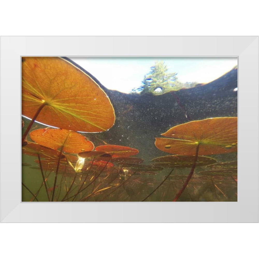 Delisle, Gilles 24x17 White Modern Wood Framed Museum Art Print Titled ...