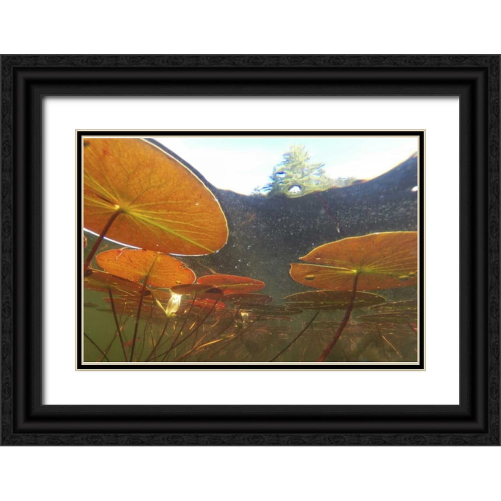 Delisle, Gilles 32x23 Black Ornate Wood Framed with Double Matting ...