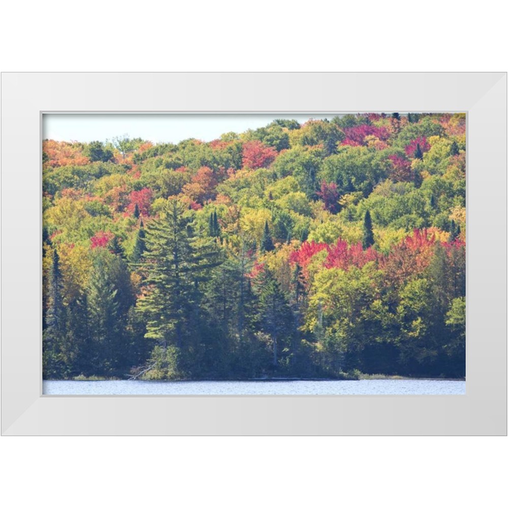 Delisle, Gilles 32x23 White Modern Wood Framed Museum Art Print Titled ...