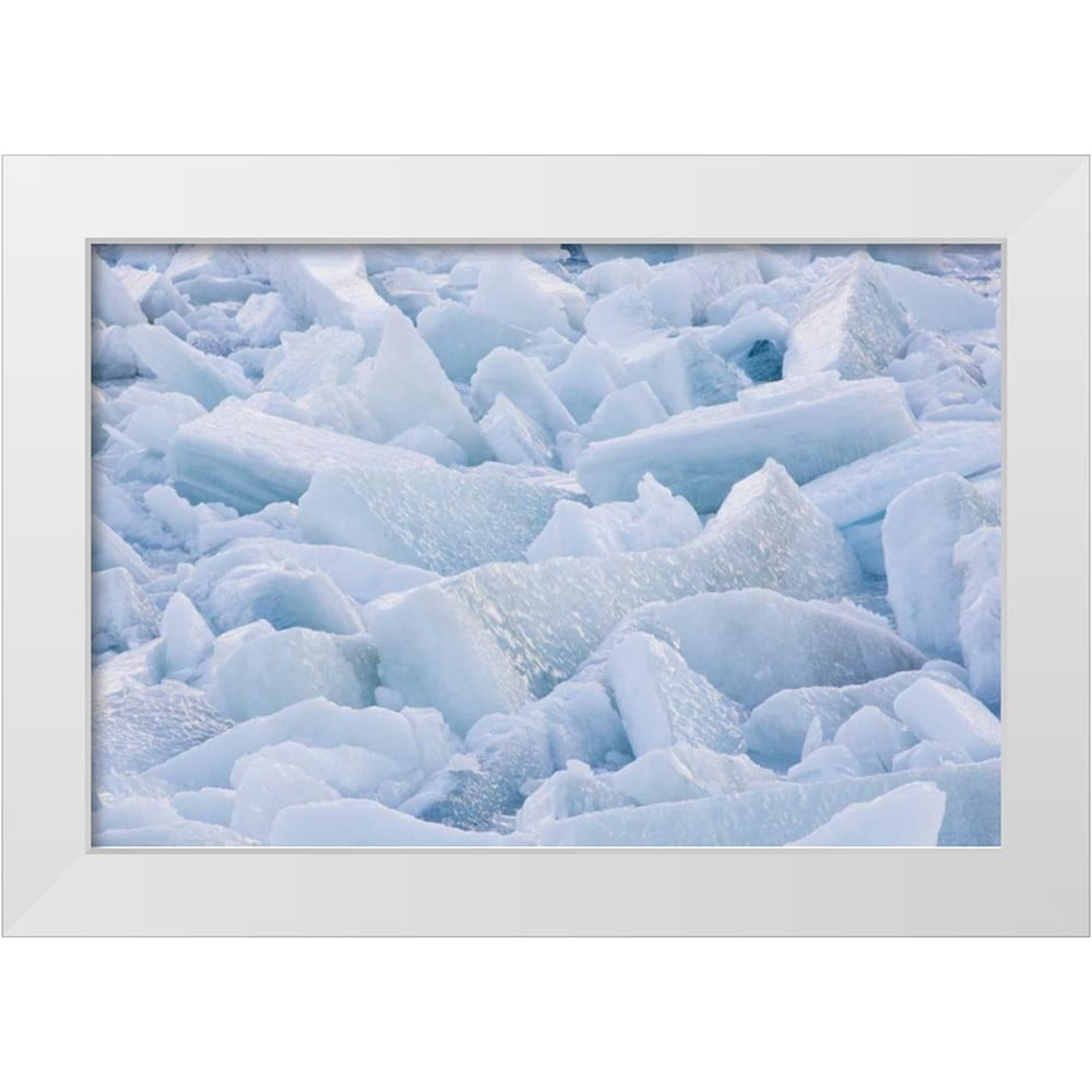 Delisle, Gilles 32x23 White Modern Wood Framed Museum Art Print Titled ...