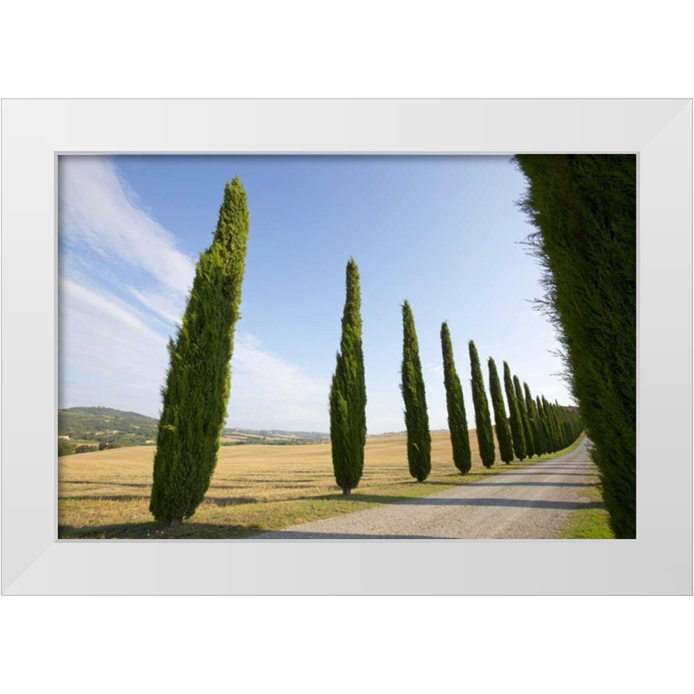 Delisle, Gilles 32x23 White Modern Wood Framed Museum Art Print Titled ...