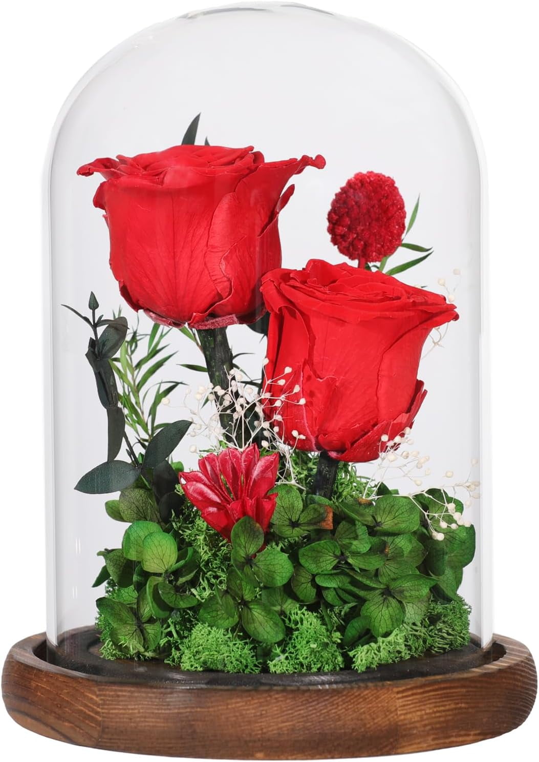 for Delivery Prime Preserved Flowers Red Roses with LED Light in a ...