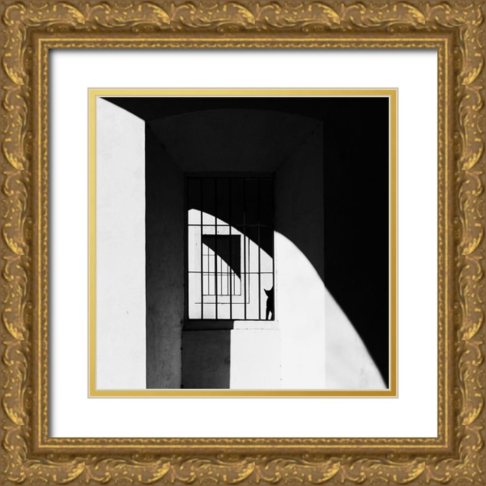 Della Latta, Massimo 12x12 Gold Ornate Wood Framed with Double Matting ...
